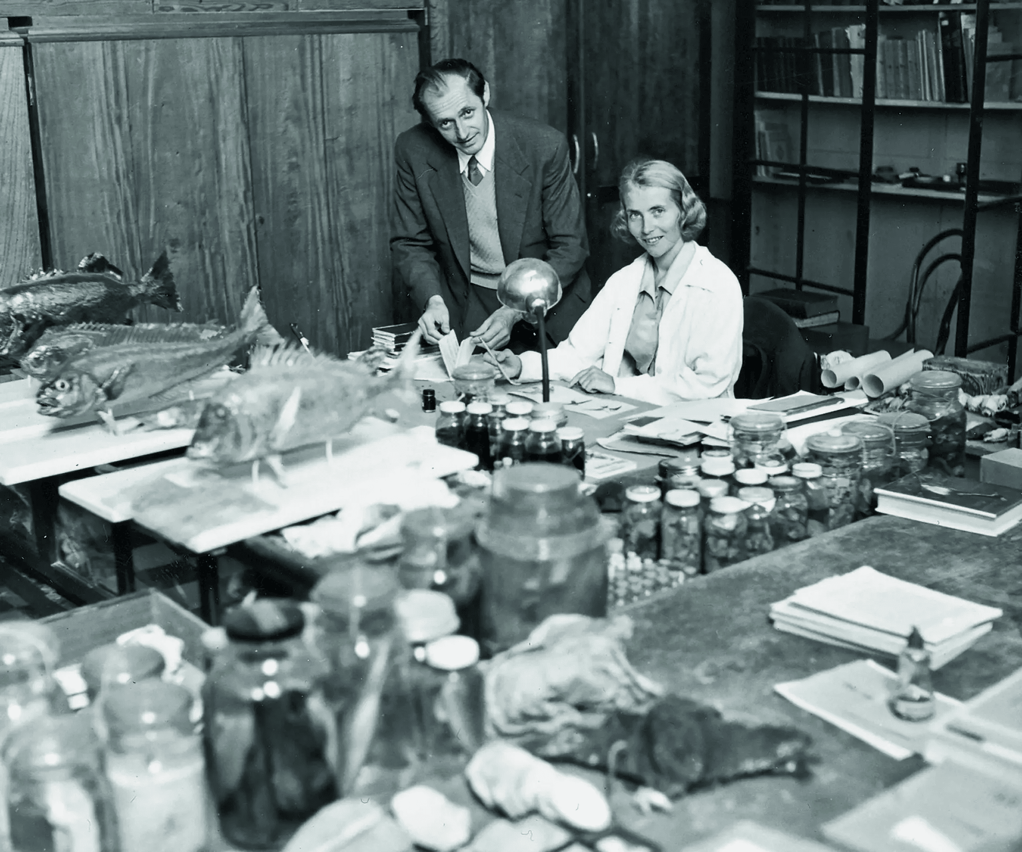 How Juliane Koepcke Survived a Plane Crash- History In Memes