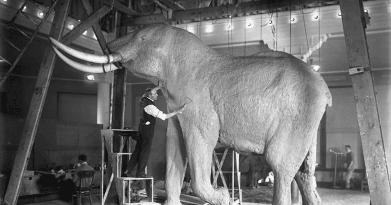 5 Facts About Taxidermist Carl Akeley - History In Memes